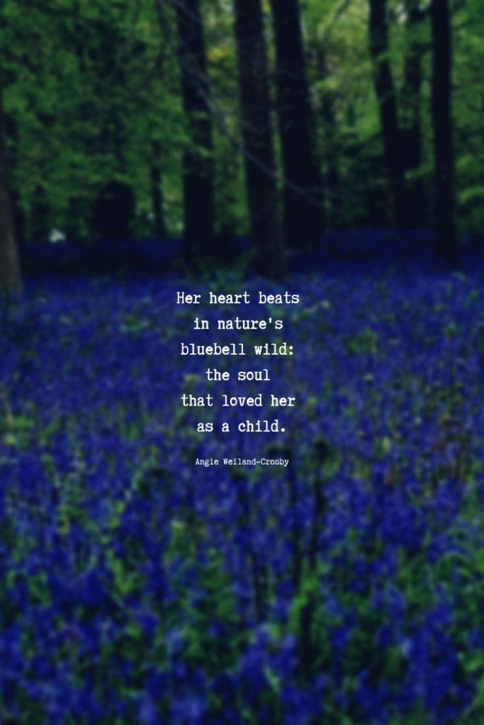 Nature Wild Quotes