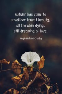50+ Best Autumn Quotes, Fall Captions & Sayings to Enchant the Soul